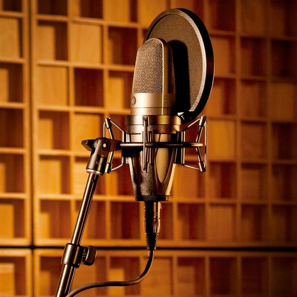 KSM42/SG Shure micrófono condensador de alta gama para voz – SOOLSHOP ...